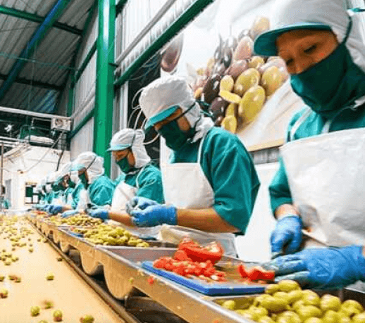 Jobs in Japan for Indians | Recruitment and Training Company | Zenro